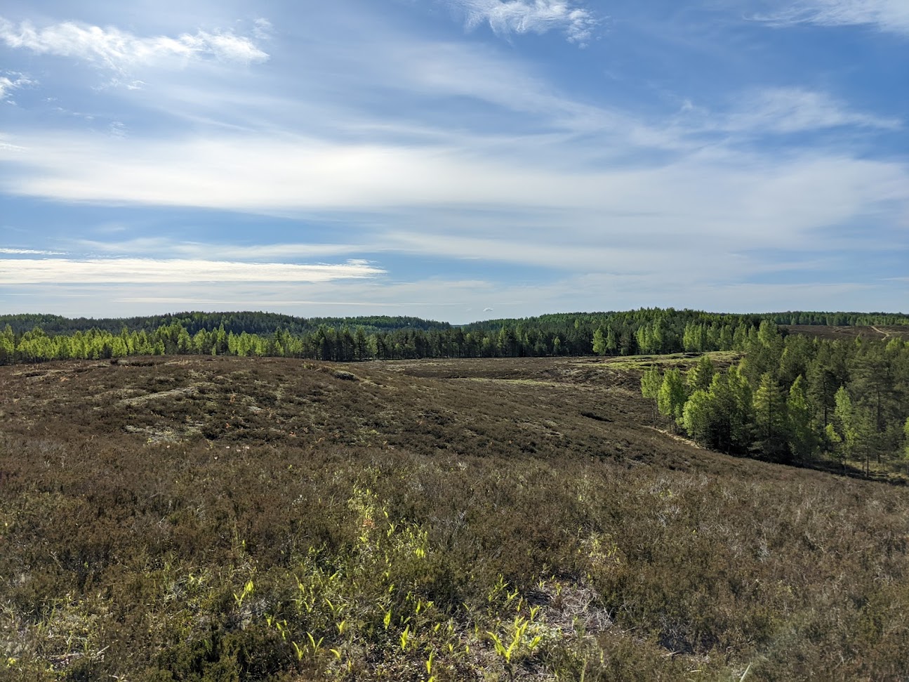 Investor Taavi – Teekond finantsvabaduseni!